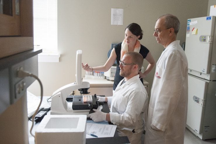 Online Master's in Applied Biomedical Engineering | JHU EP